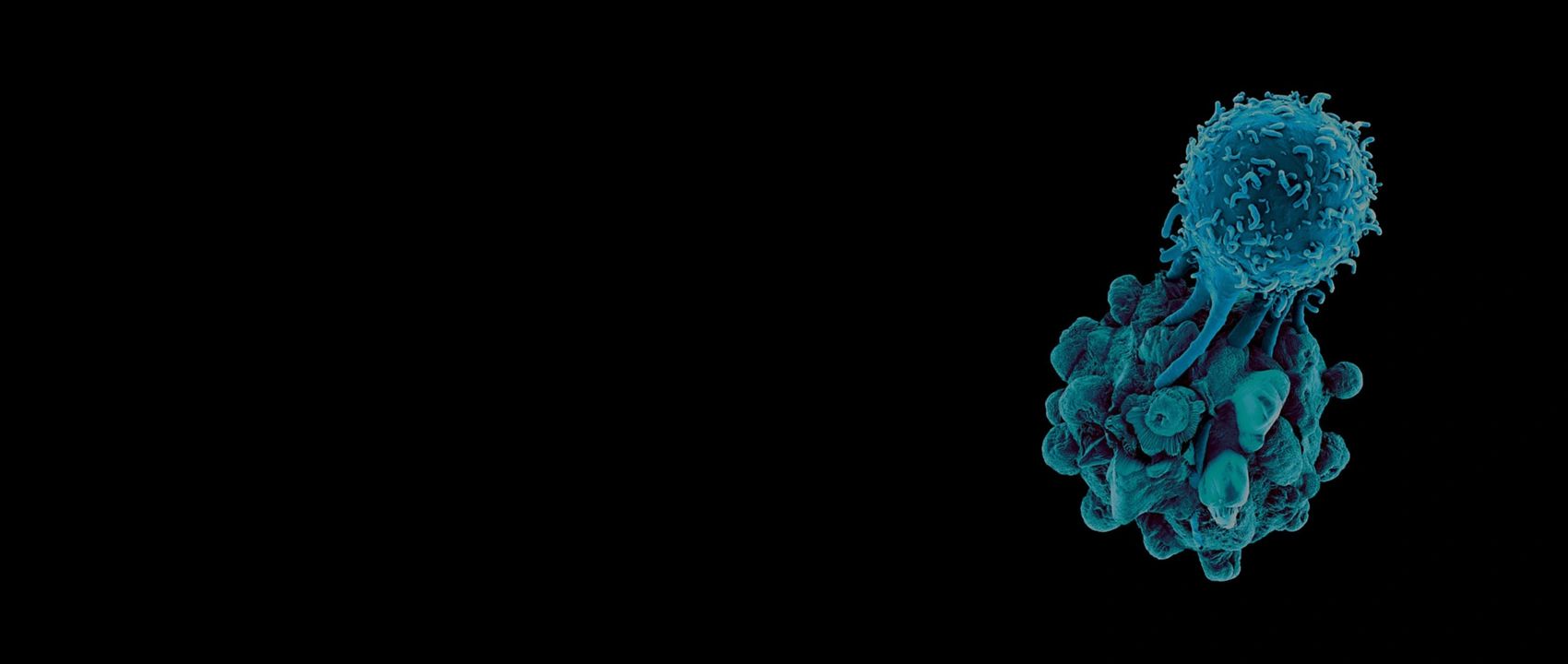 Contact | Modulari-T Bioscience